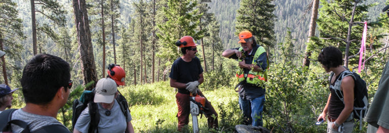 Forestry - Division of Natural Resources and Sciences